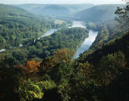 John Edson, His Birds, and His Museum - Whatcom Museum