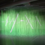 Colorfast: Vivid Installations Make Their Mark - Whatcom Museum