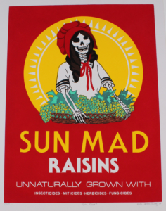 Affirming Culture and Resisting Oppression: Selected Works of Chicana/o ...