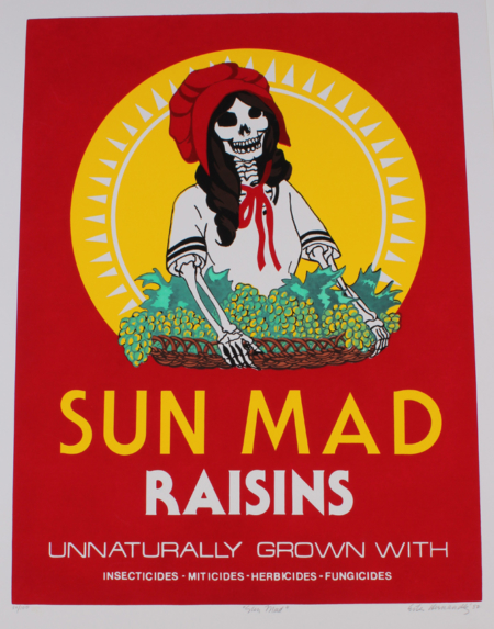 Affirming Culture and Resisting Oppression: Selected Works of Chicana/o ...