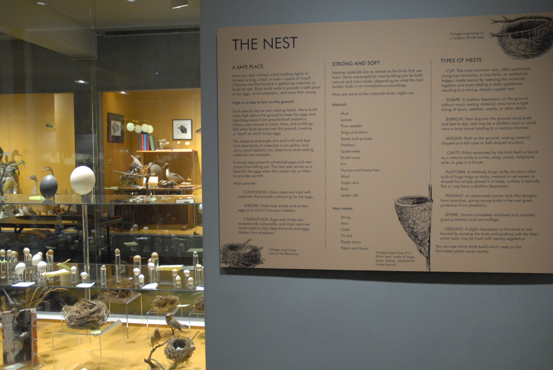 Pacific Northwest History - Whatcom Museum