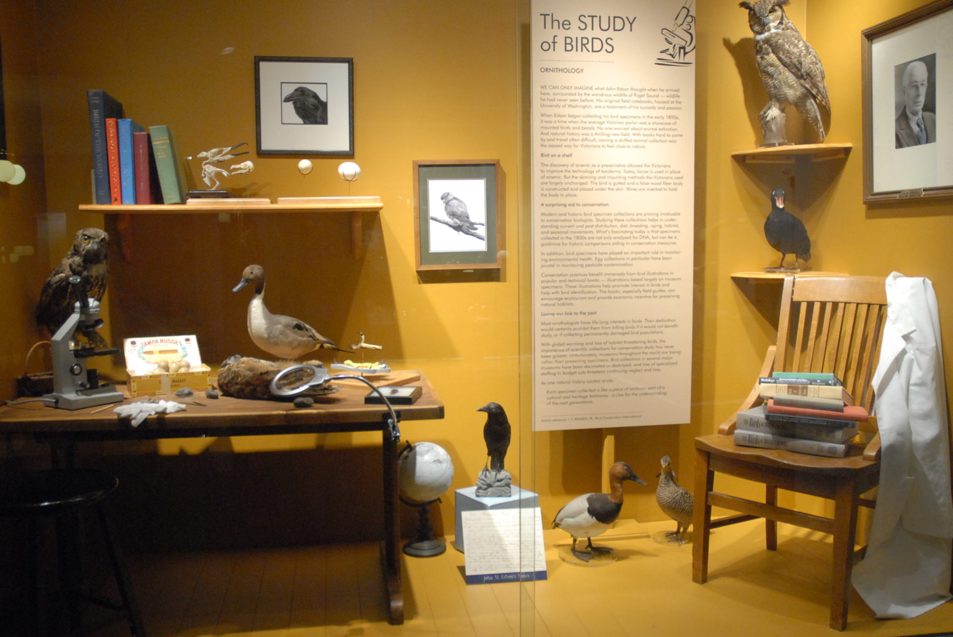 John M. Edson Hall of Birds - Whatcom Museum