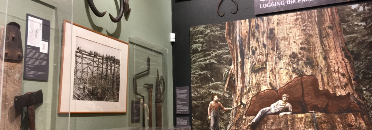 Current Exhibitions - Whatcom Museum