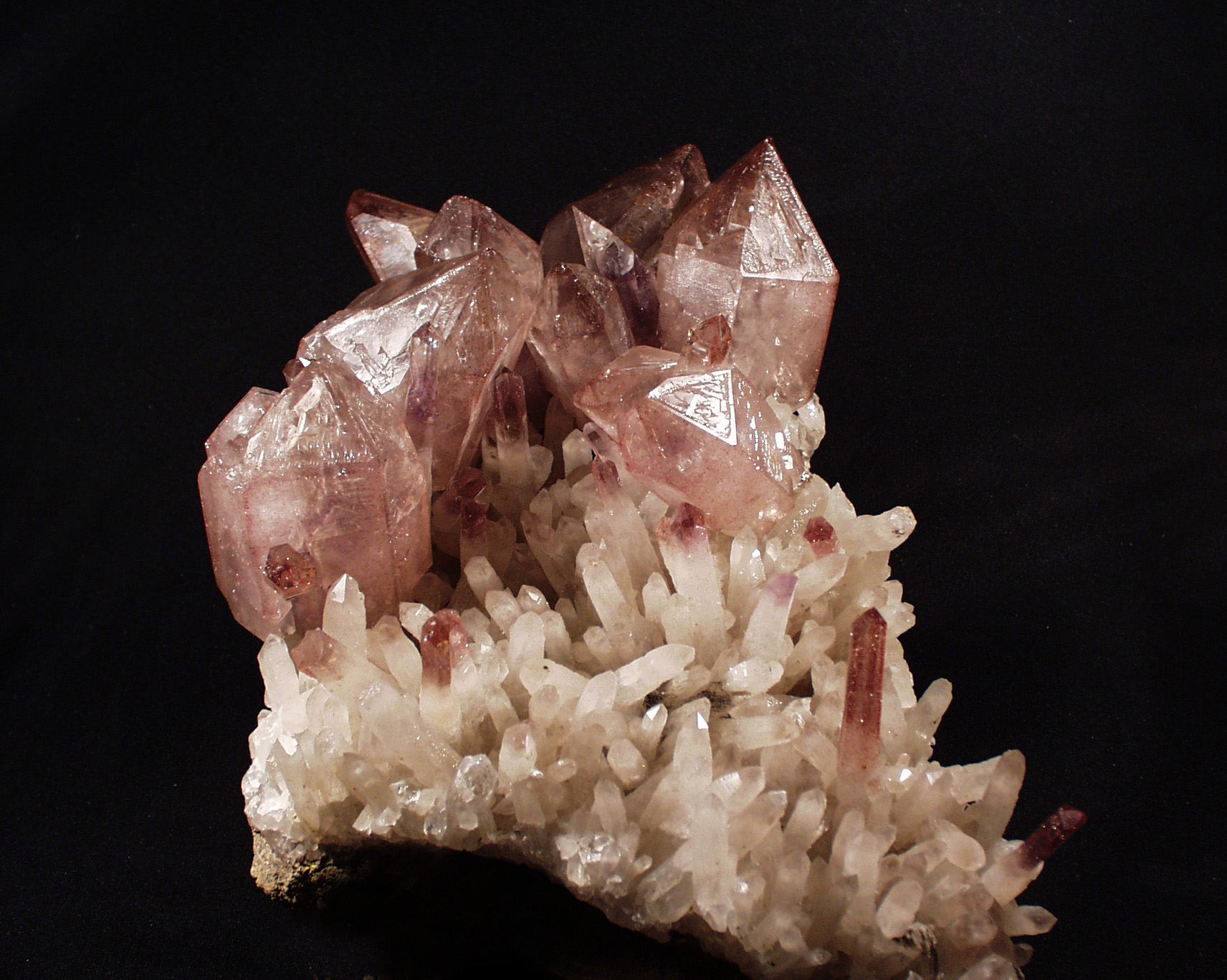 Whatcom Museum to Feature Exhibition of Unique Minerals, Hold Artist ...