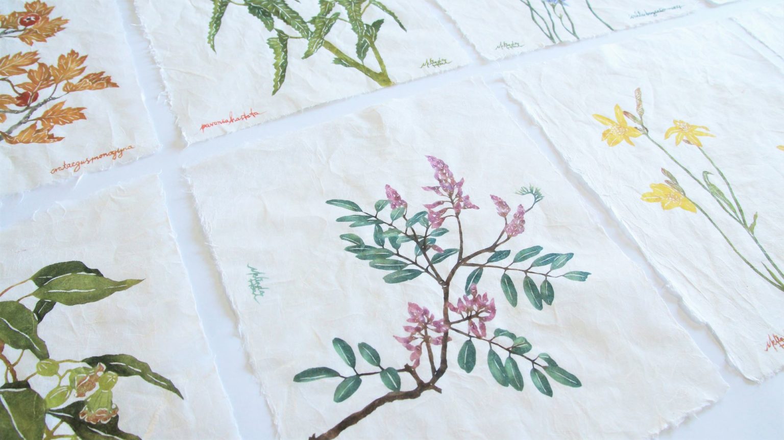 Katazome Today: Migrations of a Japanese Art - Whatcom Museum