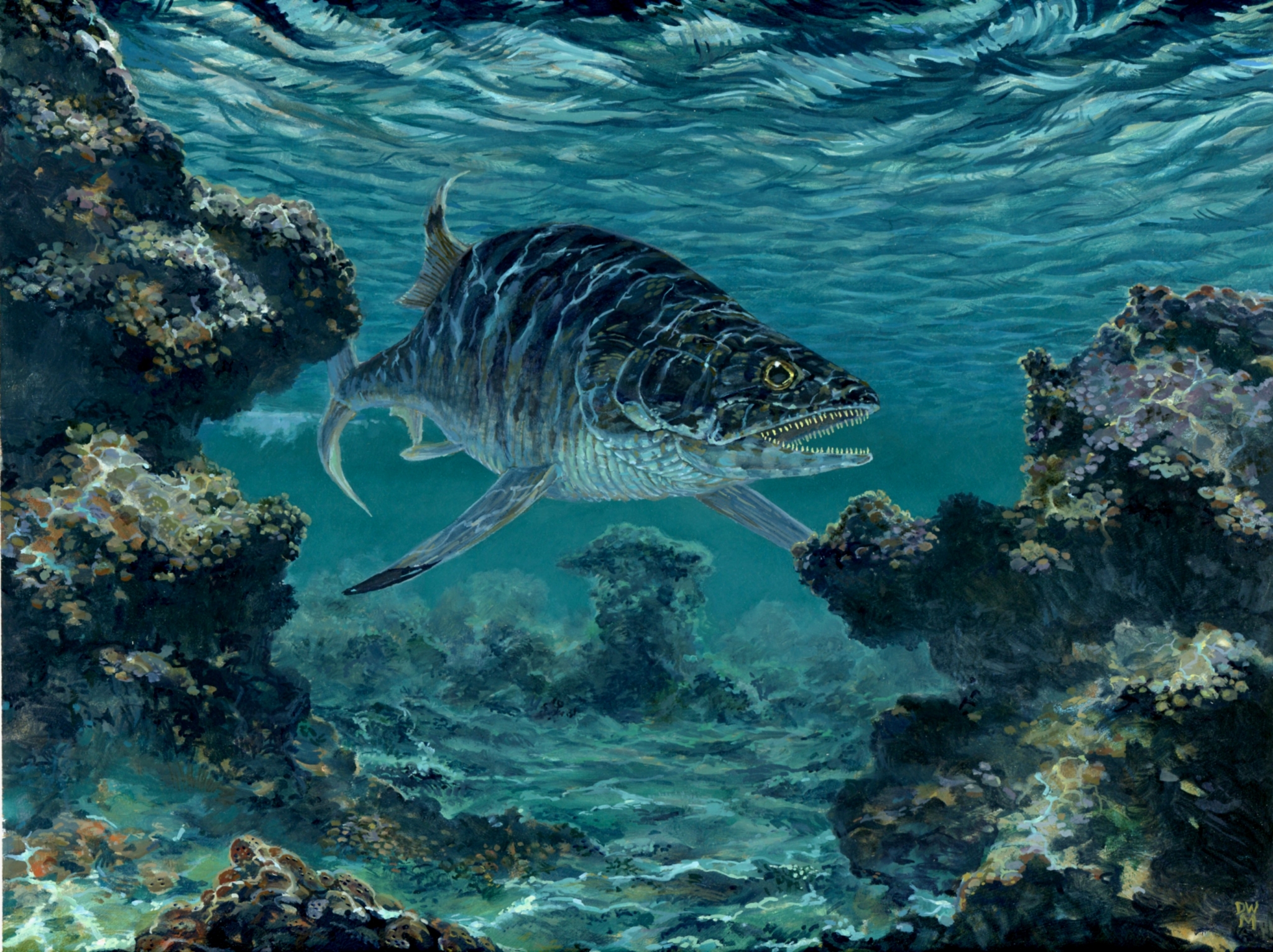 UNEARTHED Art & Science Survey the Fossil Record - Whatcom Museum