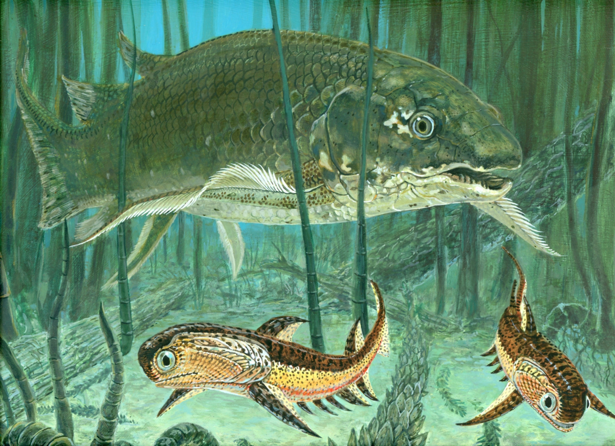 UNEARTHED Art & Science Survey the Fossil Record - Whatcom Museum