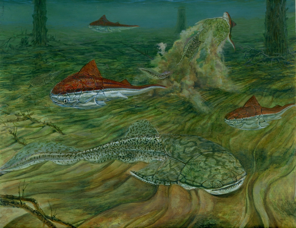 UNEARTHED Art & Science Survey the Fossil Record - Whatcom Museum