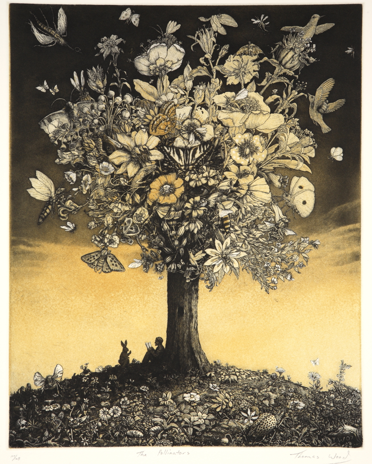 Under the Inspiration Tree Celebrating the Work of Thomas Wood ...