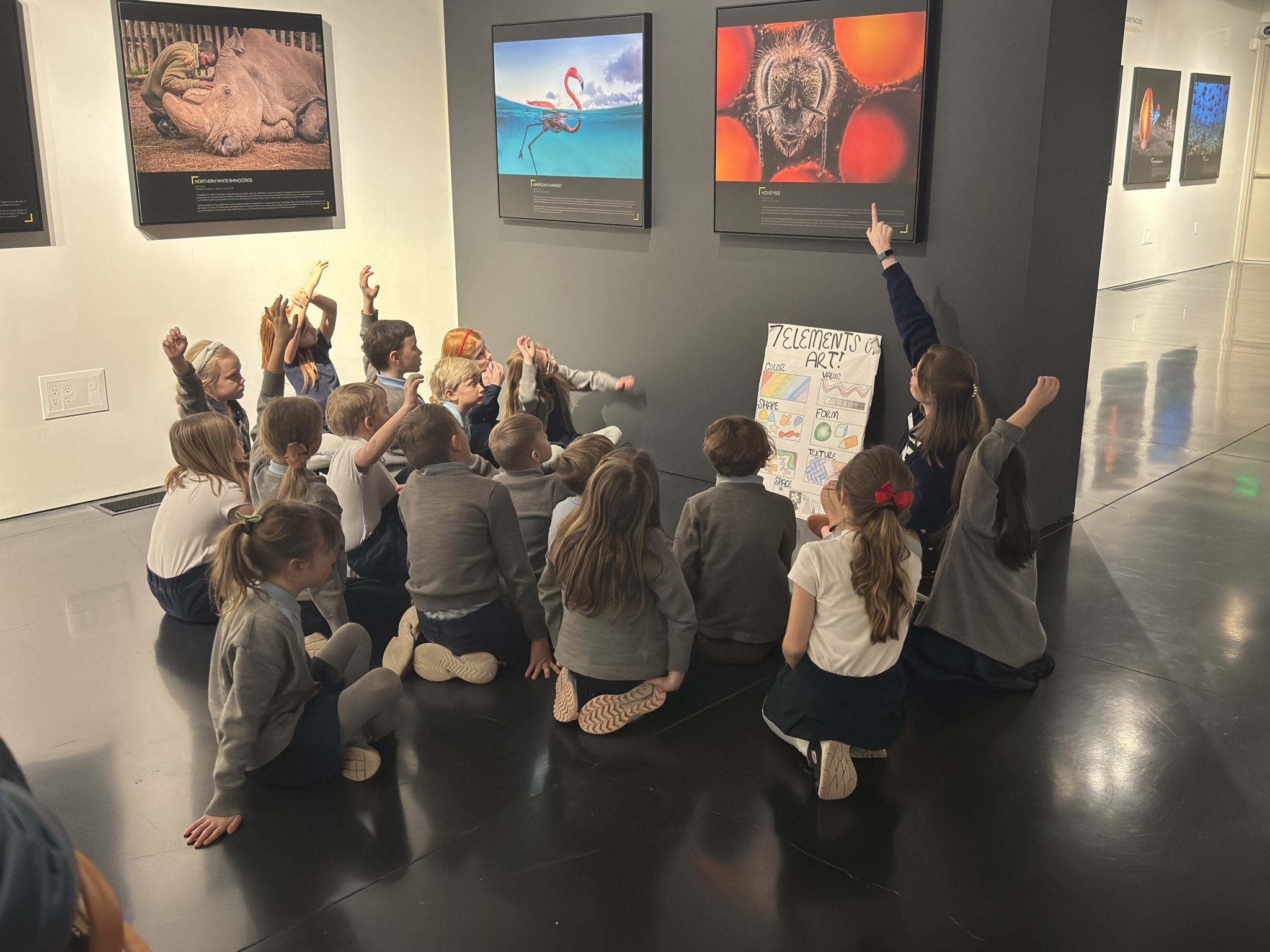 Art museum field trip 60 photos - Morilly.com