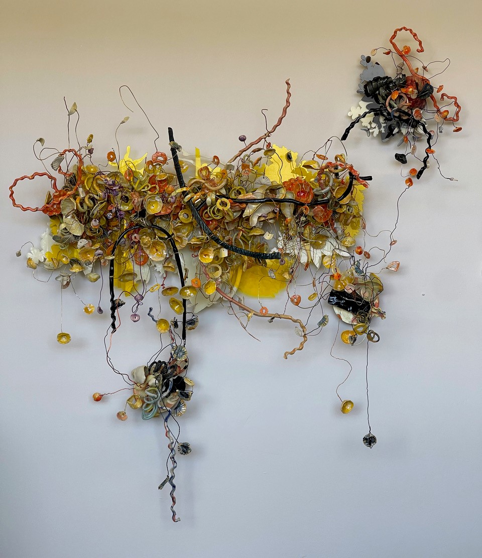 Meander, Io Palmer - Whatcom Museum